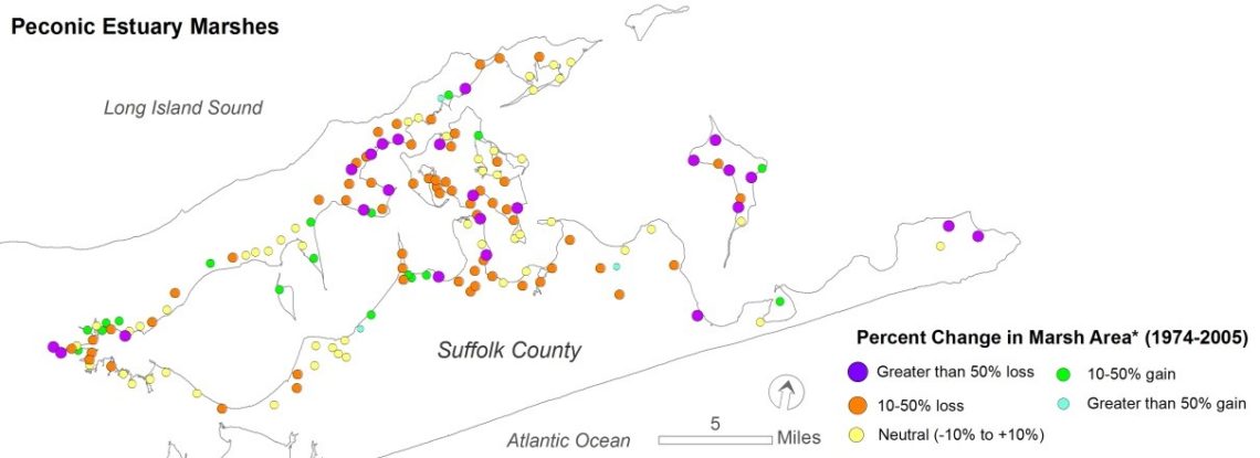 Habitats & Wildlife – Peconic Estuary Partnership
