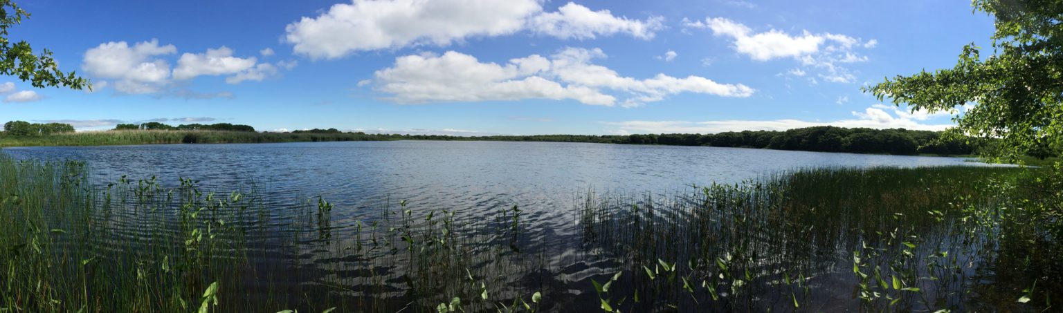 Estuaries 101 – Peconic Estuary Partnership