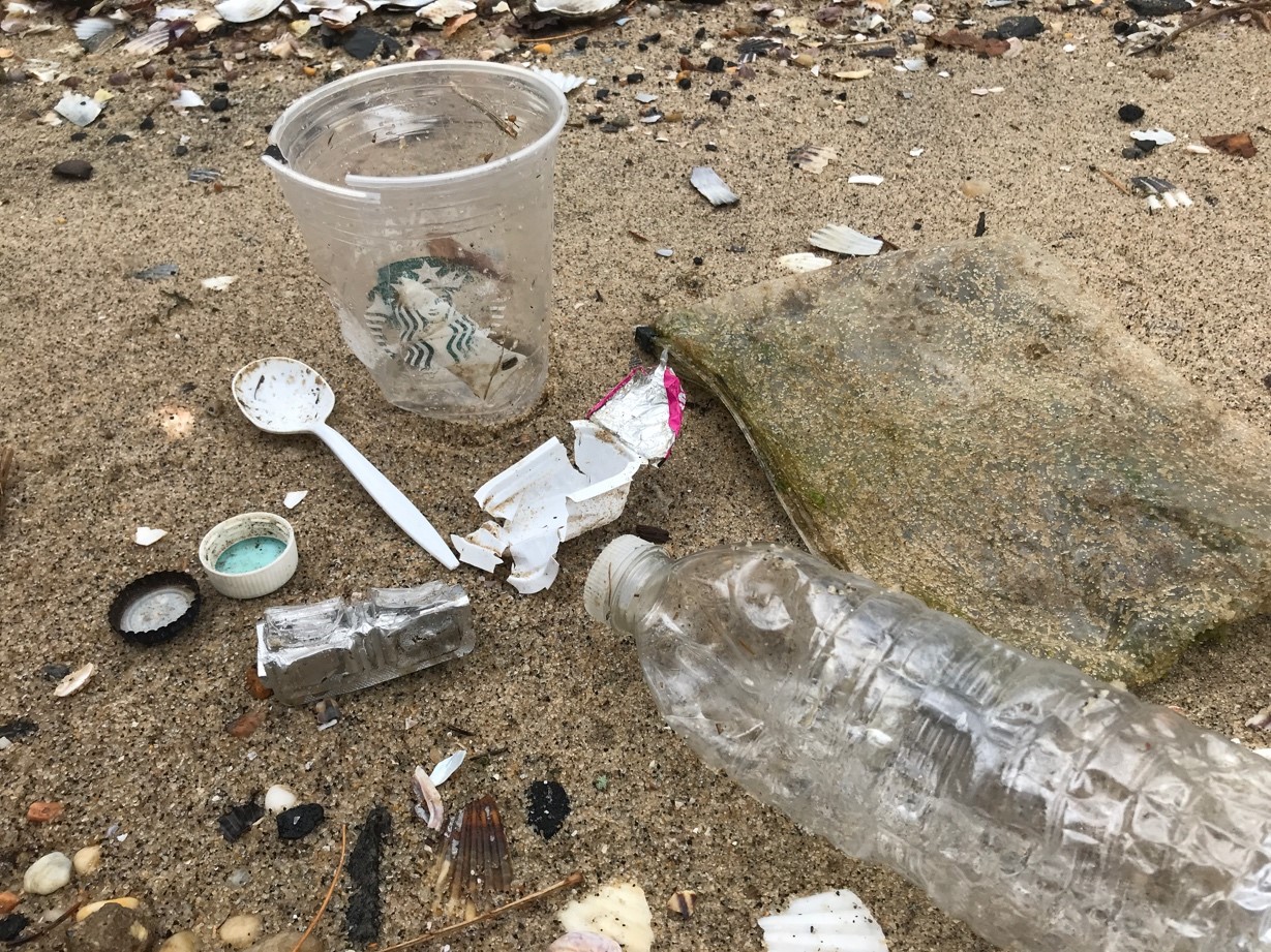 Plastic Pollution – Peconic Estuary Partnership