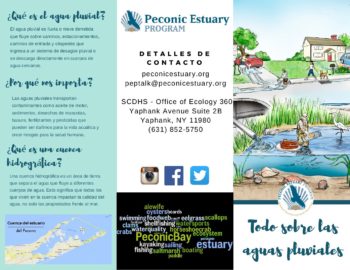 All About Stormwater Brochure – Spanish – Peconic Estuary Partnership