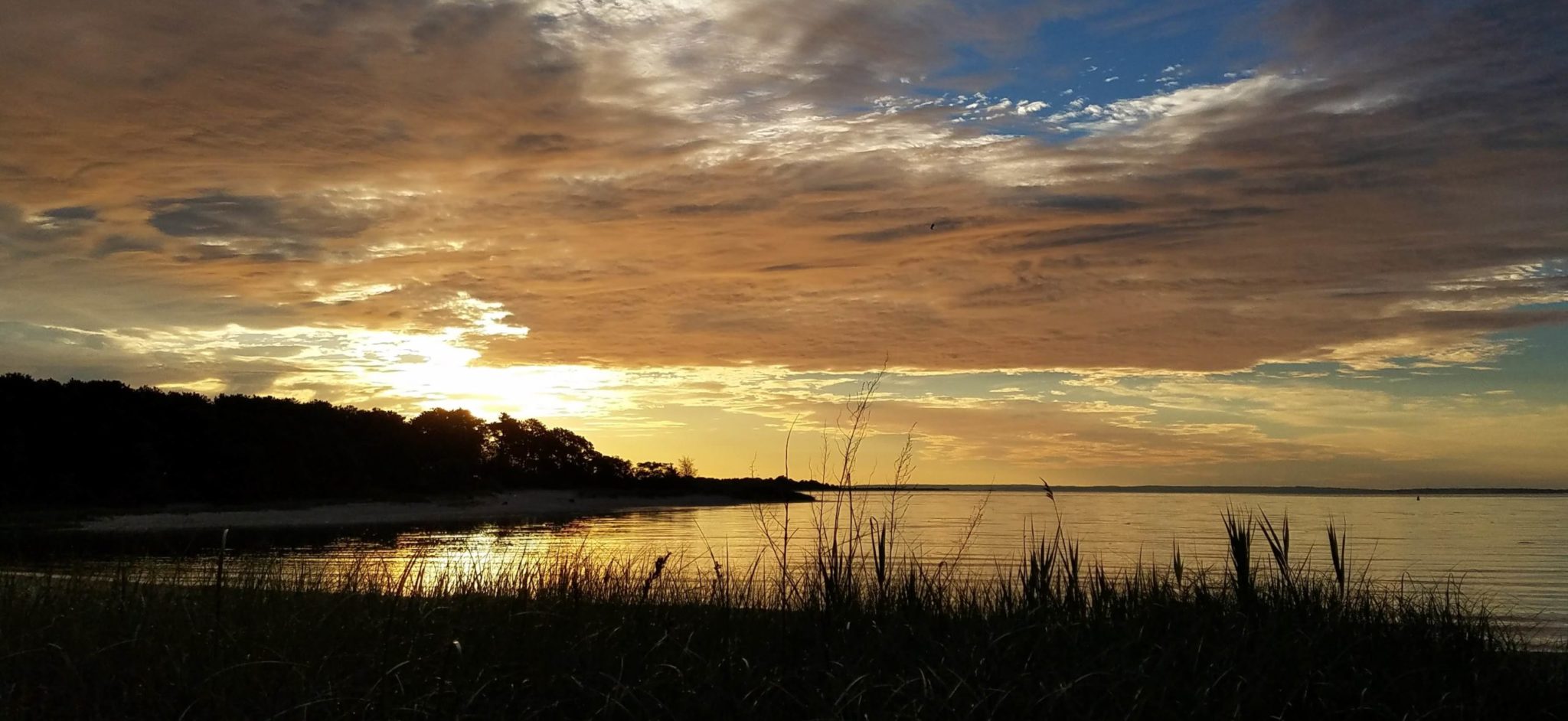 The Peconic Estuary Story – Peconic Estuary Partnership