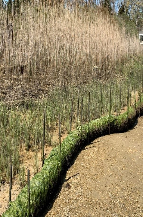 Demonstration Living Shoreline Project – Peconic Estuary Partnership