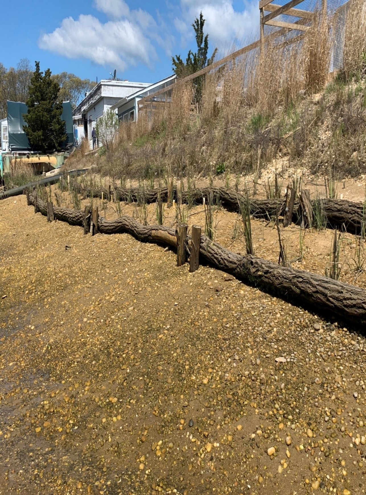 Demonstration Living Shoreline Project – Peconic Estuary Partnership