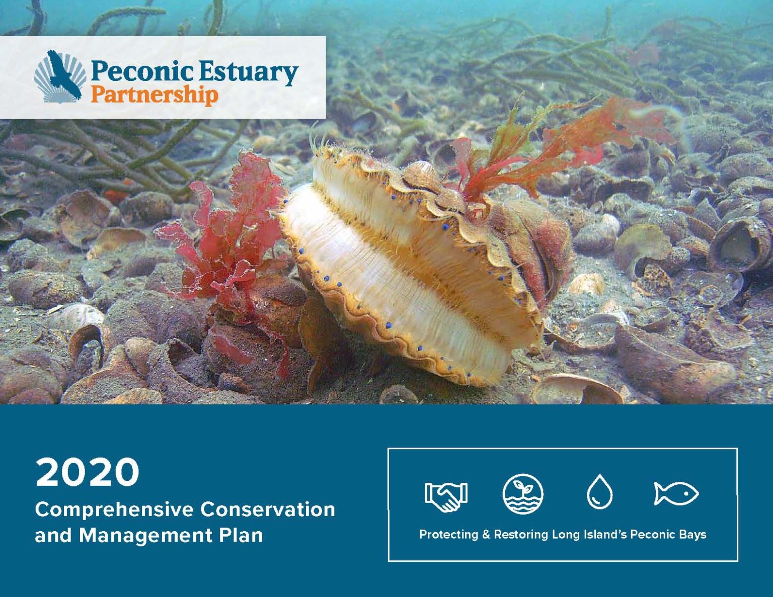 CCMP 2020 Development – Peconic Estuary Partnership