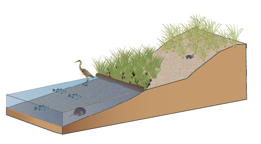 Living Shoreline_Coir Log Treatment – Peconic Estuary Partnership