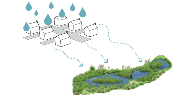 Wetlands and Wet Ponds – Peconic Estuary Partnership