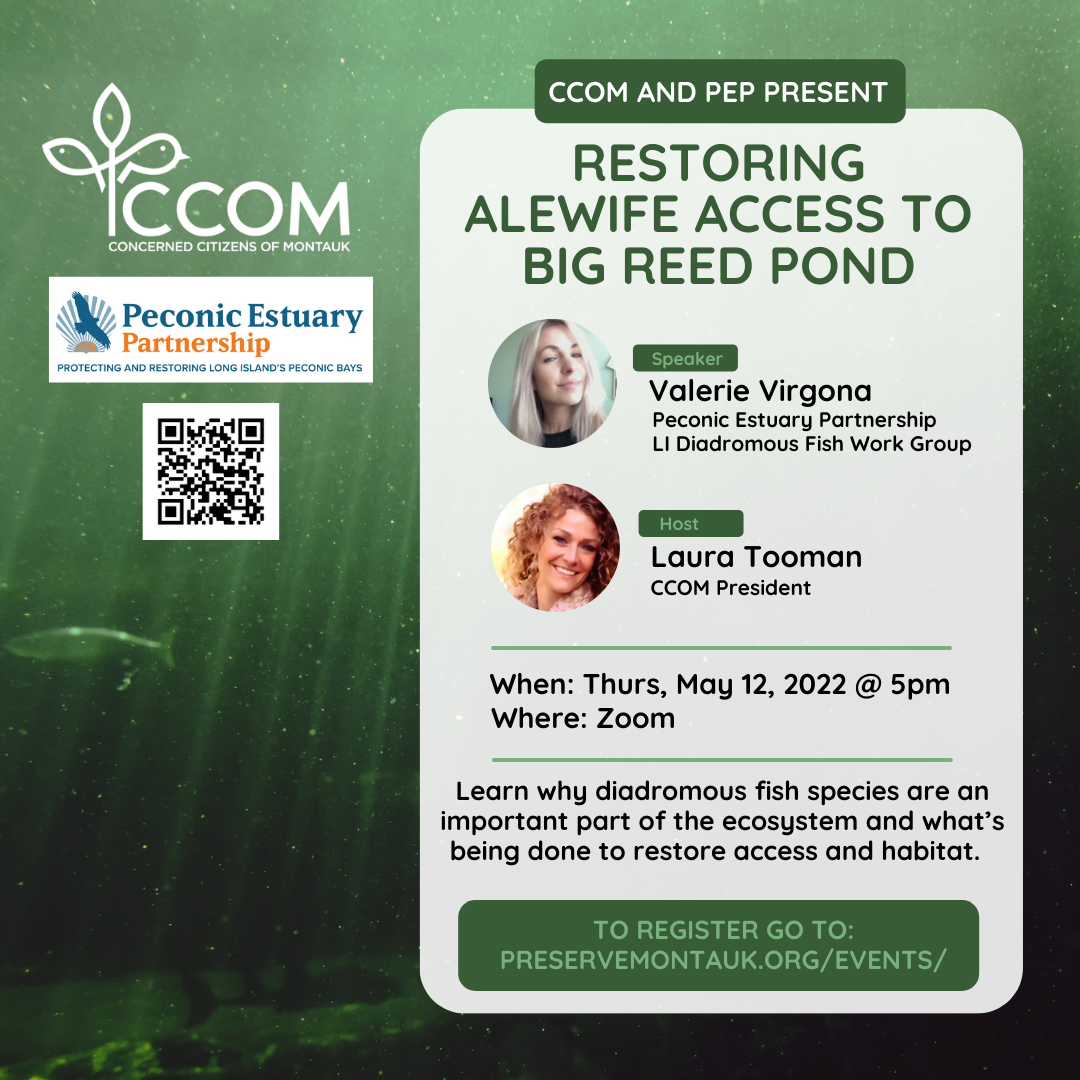 Events for January 2025 – Peconic Estuary Partnership