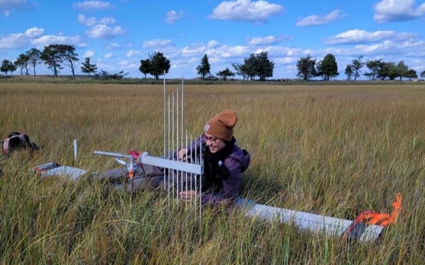 Ongoing Monitoring Programs – Peconic Estuary Partnership